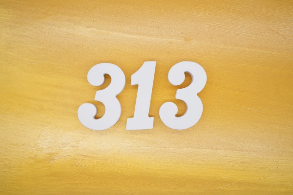 Unlocking Divine Guidance: The Profound Meaning of the 313 Angel Number ...